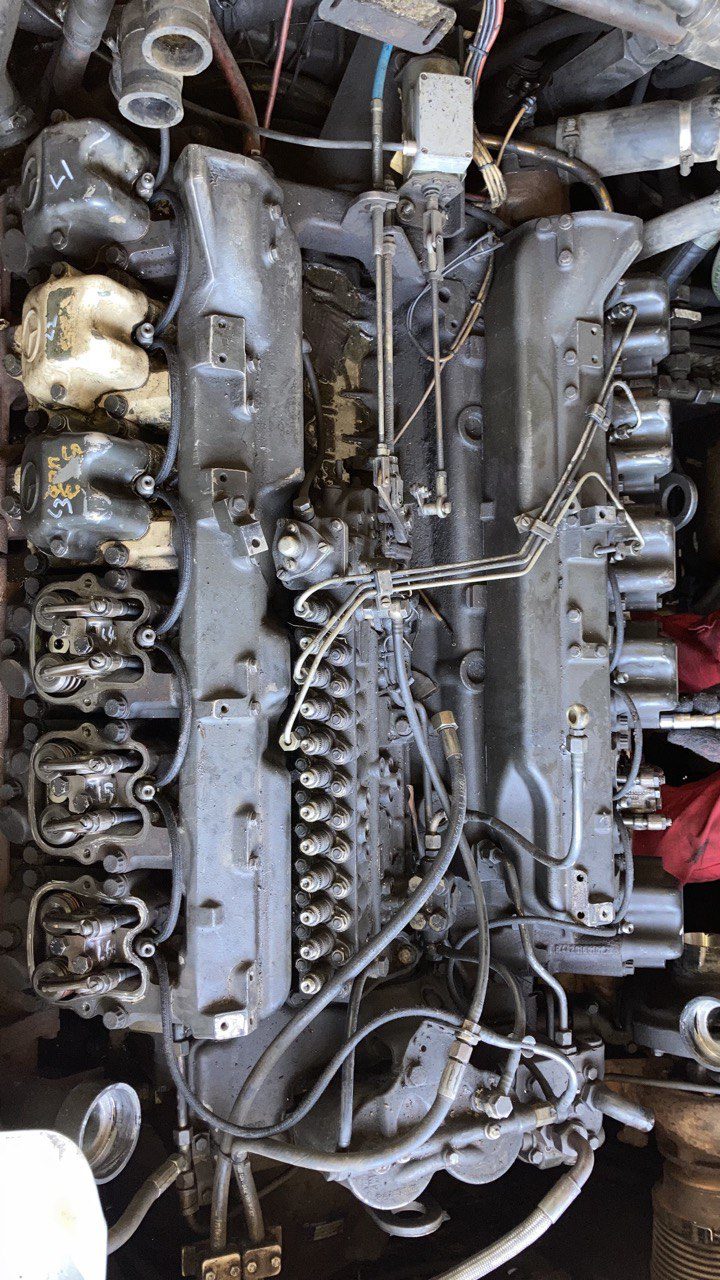 Mercedes - Alpha Helix